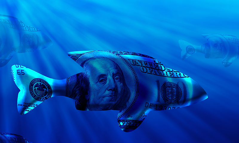 How Much Is the Ocean Worth? - Nautilus