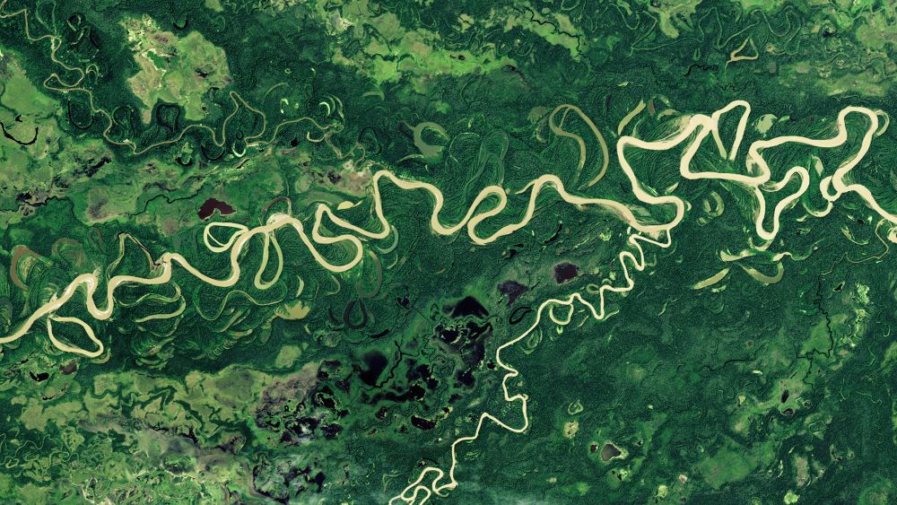 Reshuffled Rivers Bolster the Amazon’s Hyper-Biodiversity - Nautilus